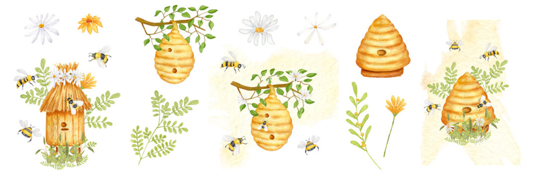 Watercolor Beehive Images – Browse 6,308 Stock Photos, Vectors, and ...