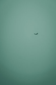 Räben Bilder – Durchsuchen 6,451 Archivfotos, Vektorgrafiken und Videos ...