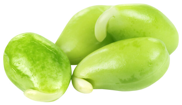 Bataw bilder – Bläddra bland 1,740 stockfoton, vektorer och videor ...