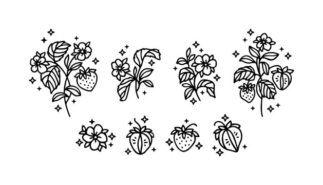 Rara photos, images, assets | Adobe Stock