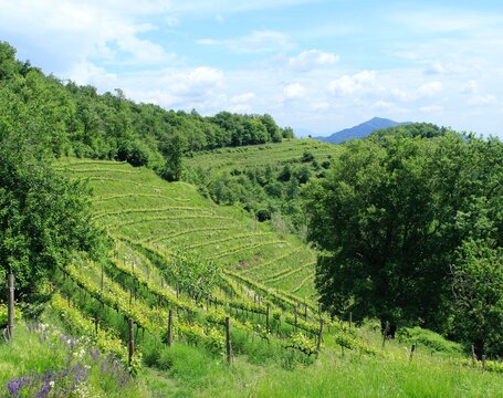 Montevecchia Images – Browse 694 Stock Photos, Vectors, and Video ...