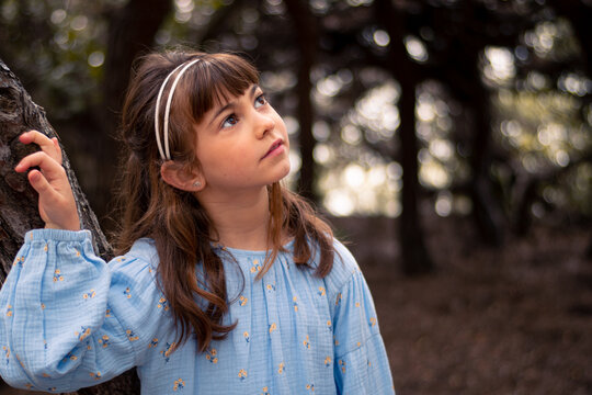 รูปภาพInocencia – เลือกดูภาพถ่ายสต็อก เวกเตอร์ และวิดีโอ3,185 | Adobe Stock