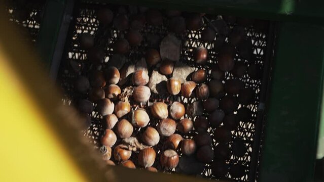 Separate Food Images – Browse 84,031 Stock Photos, Vectors, and Video ...