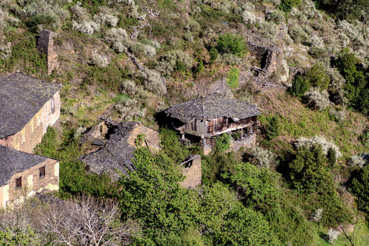 Boxo Images – Browse 22 Stock Photos, Vectors, and Video | Adobe Stock