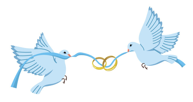 Dove Bird For Wedding