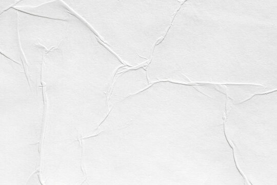 Wet Paper Texture Curl