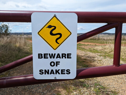 "Beware Of Snakes" Images – Browse 21 Stock Photos, Vectors, and Video ...