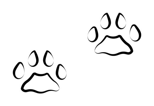 Bobcat Paw Print