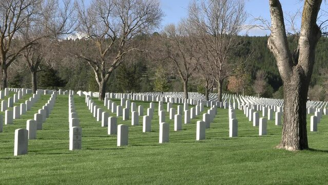 「Sturgis」の写真素材 | 360件の無料イラスト画像 | Adobe Stock