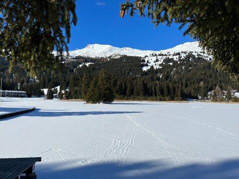 รูปภาพIgl – เลือกดูภาพถ่ายสต็อก เวกเตอร์ และวิดีโอ160 | Adobe Stock