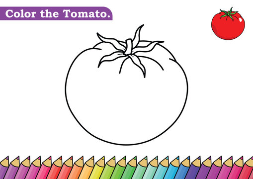 Tomato Drawing For Kids