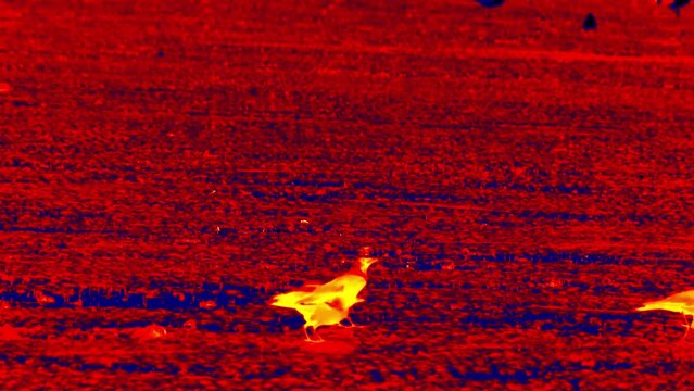 Affenhitze Bilder – Durchsuchen 1,032 Archivfotos, Vektorgrafiken und ...