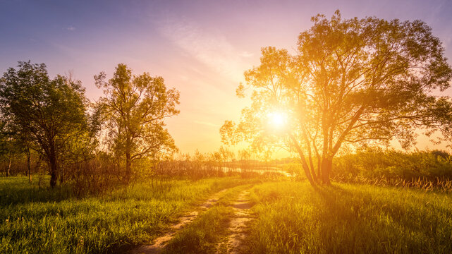 Sunrise Through Trees Images – Browse 123,694 Stock Photos, Vectors ...
