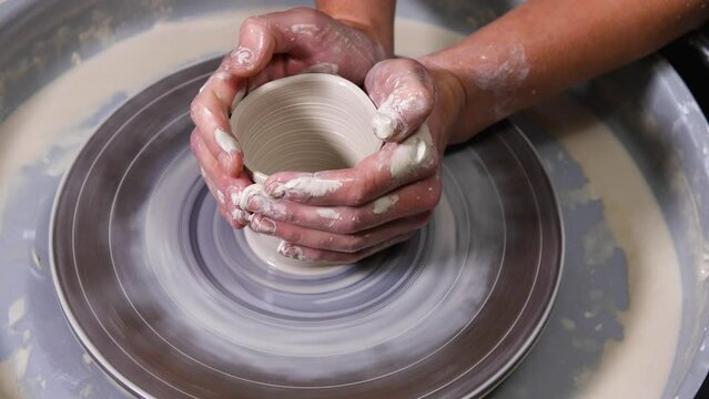 Xylospongium Images – Browse 6 Stock Photos, Vectors, and Video | Adobe ...