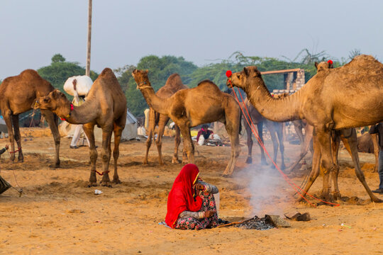 Kandarp photos, images, assets | Adobe Stock