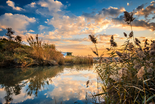 รูปภาพCalmo – เลือกดูภาพถ่ายสต็อก เวกเตอร์ และวิดีโอ14,902 | Adobe Stock