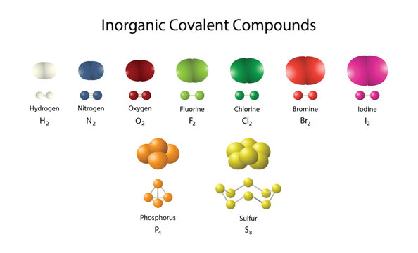 รูปภาพNon-Metallic – เลือกดูภาพถ่ายสต็อก เวกเตอร์ และวิดีโอ160 | Adobe ...