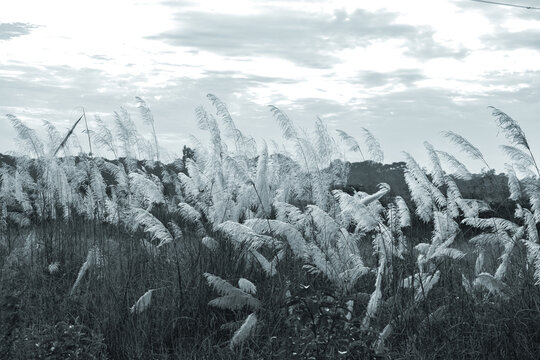 Kashful Images – Browse 246 Stock Photos, Vectors, and Video | Adobe Stock