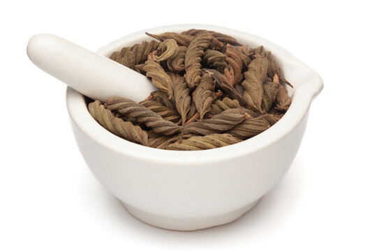 รูปภาพMarod – เลือกดูภาพถ่ายสต็อก เวกเตอร์ และวิดีโอ89 | Adobe Stock