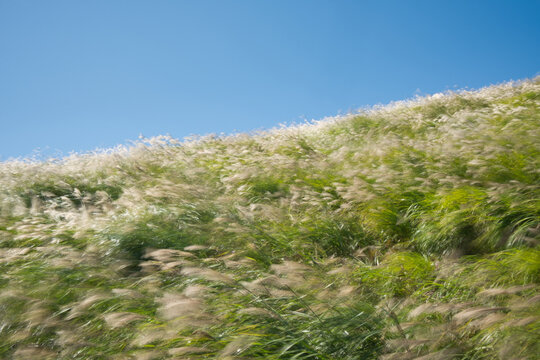 รูปภาพAwn – เลือกดูภาพถ่ายสต็อก เวกเตอร์ และวิดีโอ33,237 | Adobe Stock