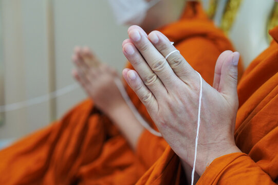 Monkhood Bilder – Durchsuchen 175,313 Archivfotos, Vektorgrafiken und ...