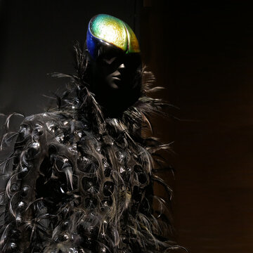 Mugler Images – Browse 52 Stock Photos, Vectors, and Video | Adobe Stock