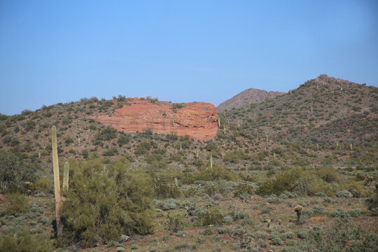 James Reininger photos, images, assets | Adobe Stock