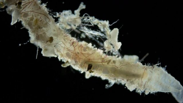 Residue Bilder – Durchsuchen 15,343 Archivfotos, Vektorgrafiken und ...