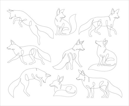 Fox Line Drawing Images – Browse 40,582 Stock Photos, Vectors, and ...