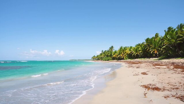 Imágenes de "Caribbean Beach": descubre bancos de fotos, ilustraciones ...