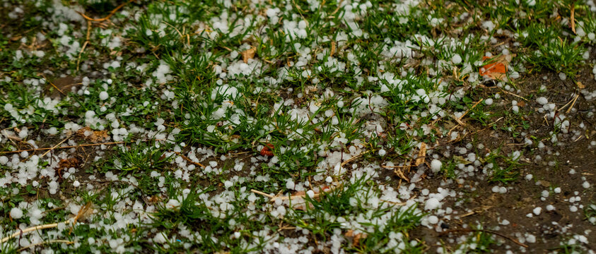 "Hail Stones" Images – Browse 382 Stock Photos, Vectors, and Video ...