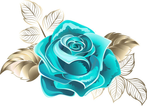 "Turquoise Rose" Images – Browse 69 Stock Photos, Vectors, and Video ...