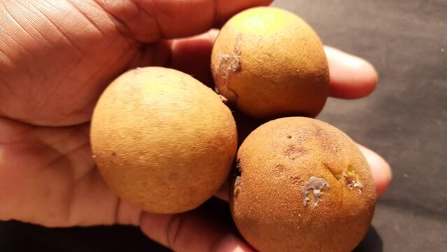 Sofeda Images – Browse 5,557 Stock Photos, Vectors, and Video | Adobe Stock