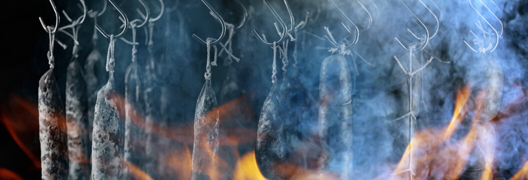 Selche Bilder – Durchsuchen 8,024 Archivfotos, Vektorgrafiken und ...