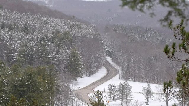 Scrounging Bilder – Durchsuchen 8,181 Archivfotos, Vektorgrafiken und ...