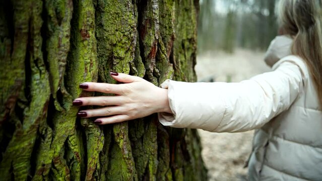 "Female Hand" Images – Browse 25,082 Stock Photos, Vectors, and Video ...