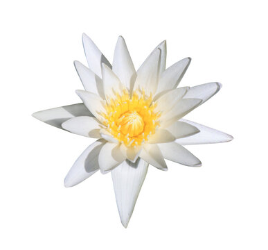 Tonpong photos, images, assets | Adobe Stock