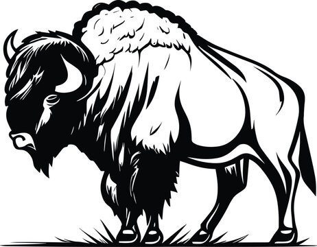 Buffalo Clip Art Black White