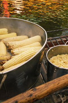 "Shelled Corn" Images – Browse 44 Stock Photos, Vectors, and Video ...