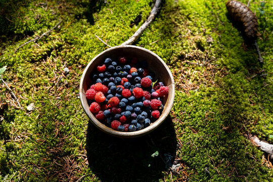 Mooseberry Bilder – Durchsuchen 9,843 Archivfotos, Vektorgrafiken und ...