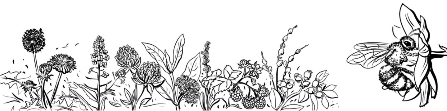 Nector Images – Browse 407 Stock Photos, Vectors, and Video | Adobe Stock