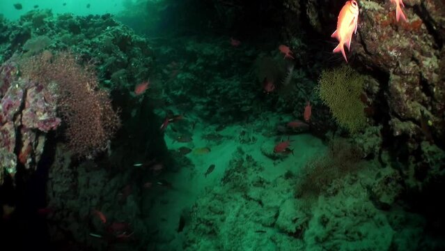 Undoubtedly Images – Browse 4,259 Stock Photos, Vectors, and Video ...