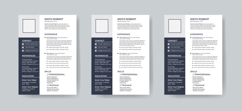 Curriculum Vitae Indesign Images – Browse 167 Stock Photos, Vectors ...