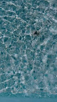 Cobalt Blue Texture Images – Browse 11,378 Stock Photos, Vectors, and ...