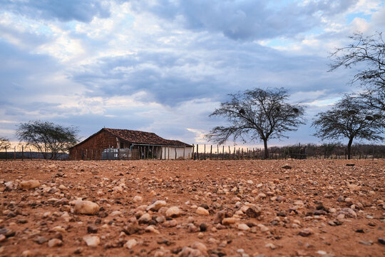 Sertão Imagens – Procure 97,649 fotos, vetores e vídeos | Adobe Stock