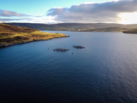 Scalloway Képek – Böngésszen 41 stockfotókat, vektorokat és videókat ...