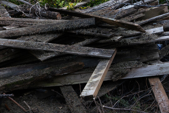 "Stack Of Wood" Images – Browse 921 Stock Photos, Vectors, and Video ...