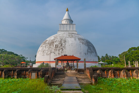 「Wehera」の写真素材 | 18件の無料イラスト画像 | Adobe Stock