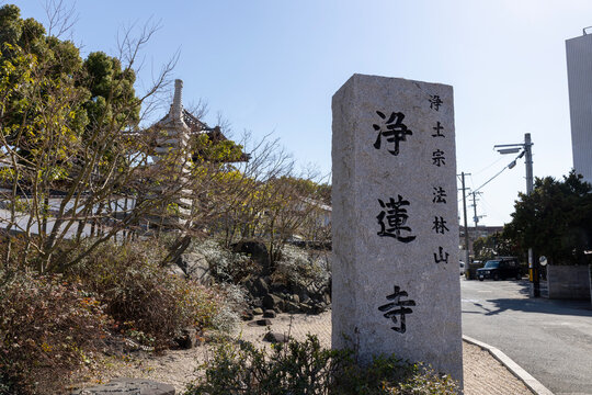 รูปภาพDhammacakka – เลือกดูภาพถ่ายสต็อก เวกเตอร์ และวิดีโอ3,248 | Adobe ...