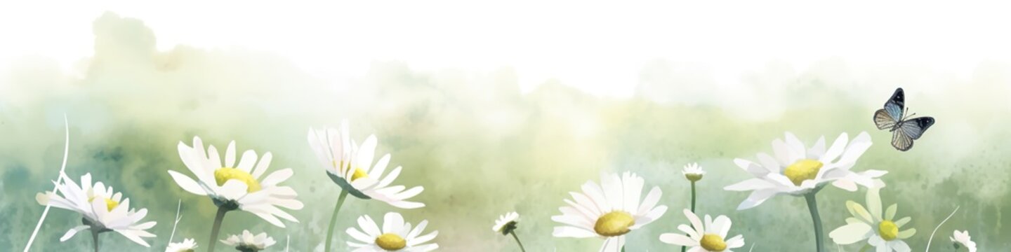 Twitter Daisy Backgrounds